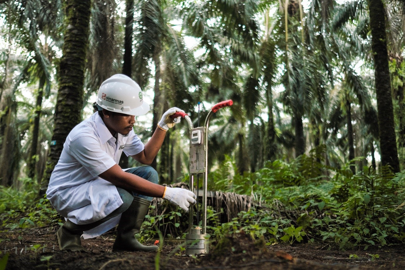 2026年重塑农业、食品和能源领域的六大趋势 - Golden Agri-Resources